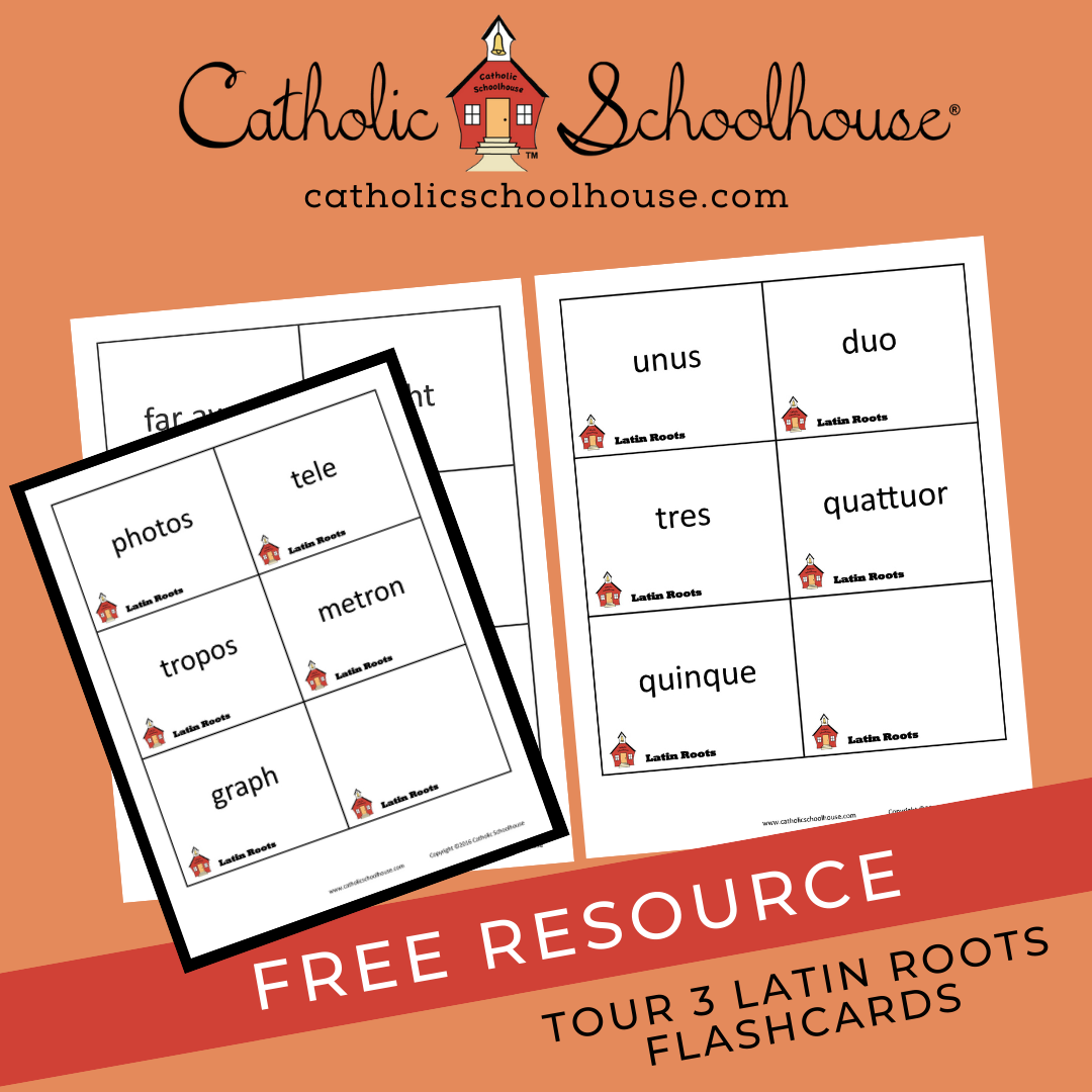 Tour 3: Latin Roots Flashcards - Catholic Schoolhouse
